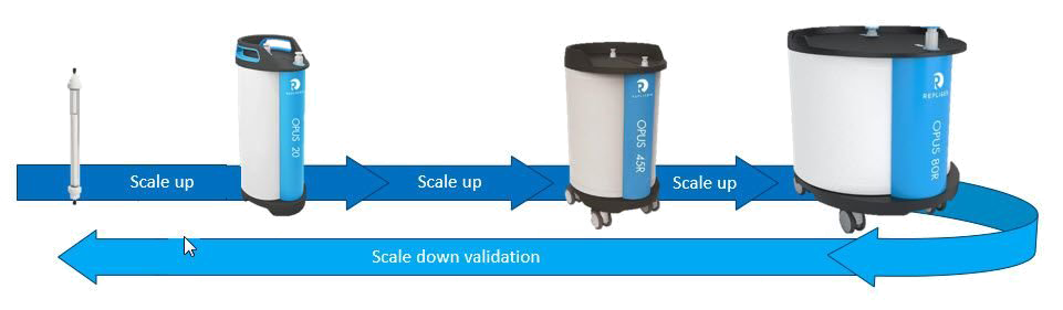 Columnas de cromatografía preenvasadas OPUS® ValiChrom® para validación de procesos